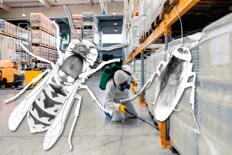 Dératisation - Connen